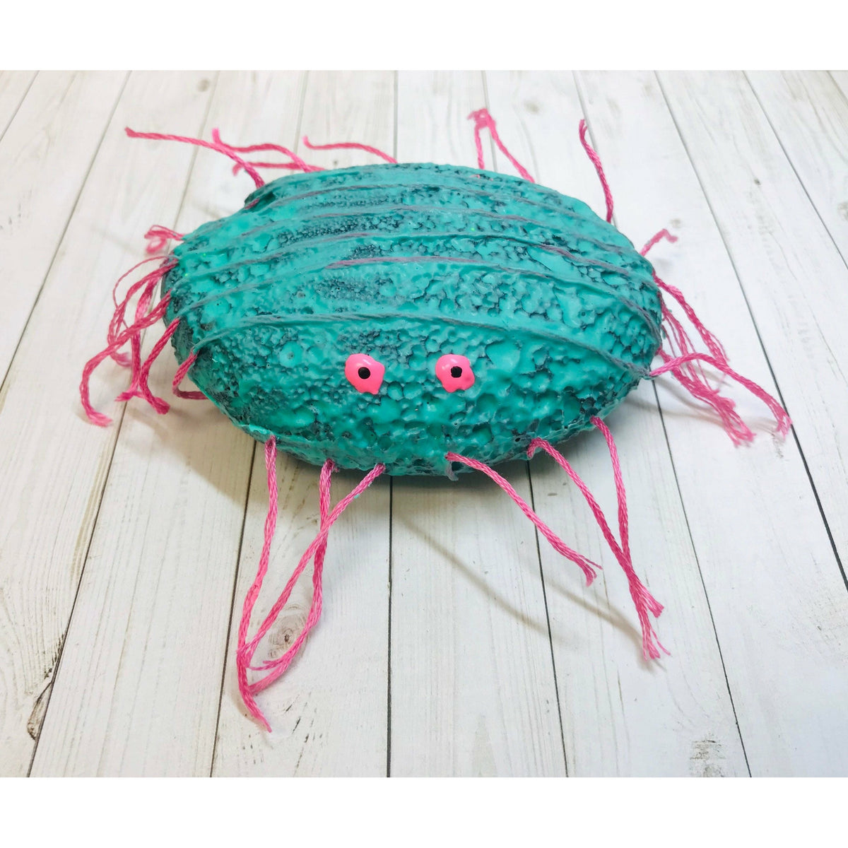 Spider Sensory Picky Stone Kit – pickypumicestone